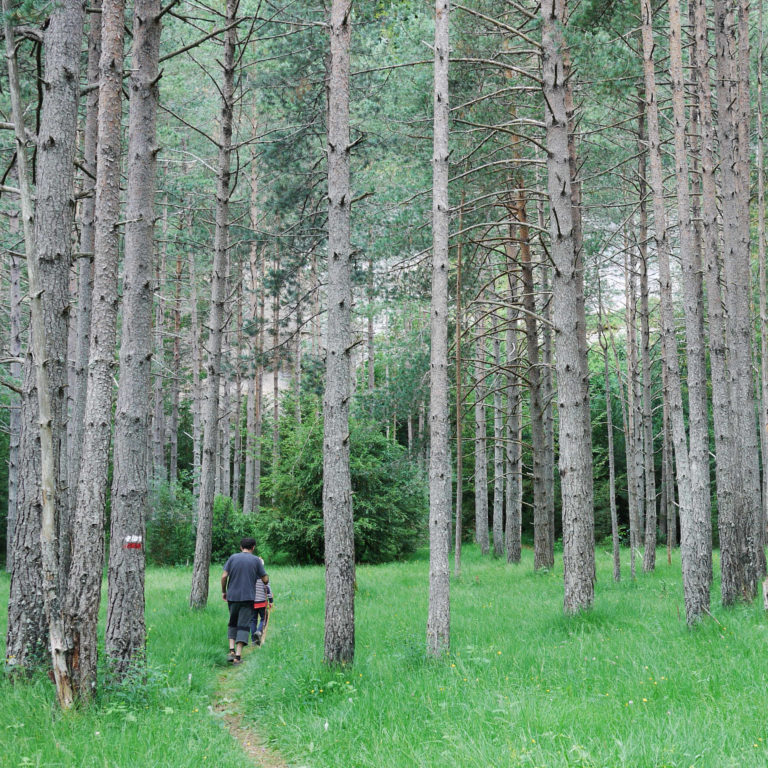 la Pradera de Pineta - Refugio Pineta